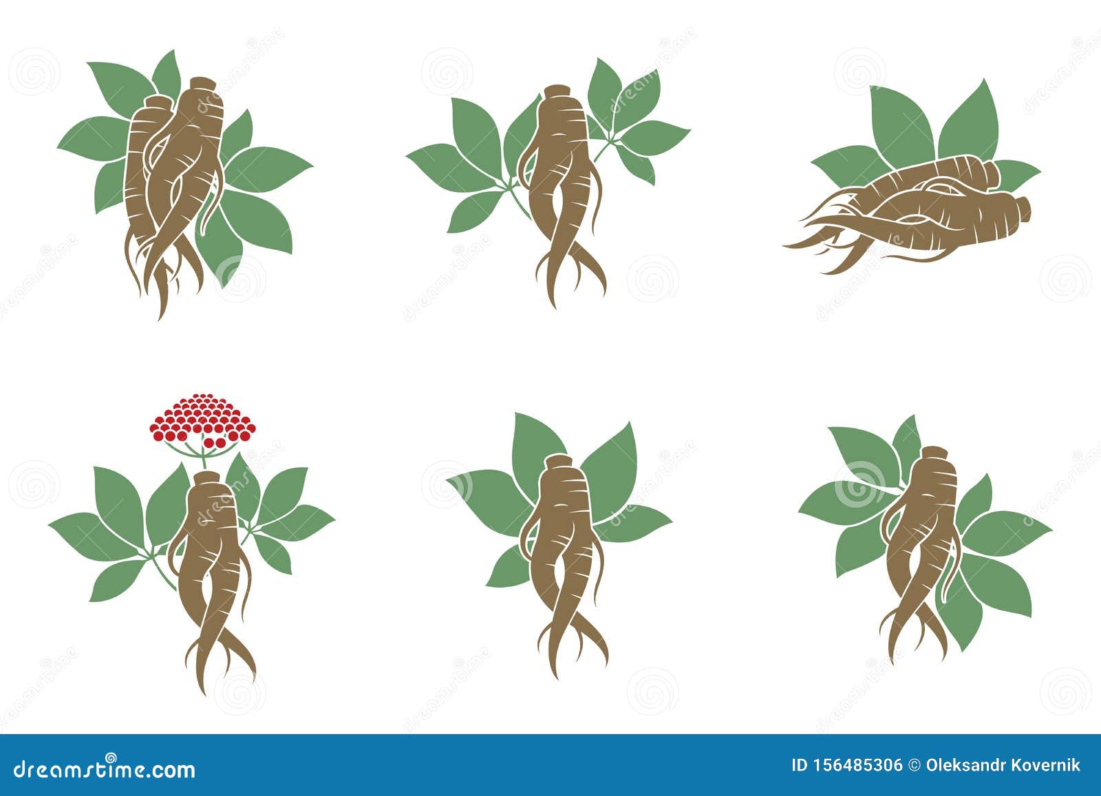 Ginseng Root Silhouette. Chinese Medicine Sign Cartoon Vector ...