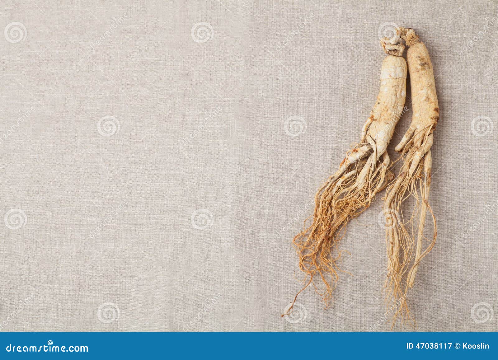 Ginseng roots stock image. Image of asian, medicine, prized - 47038117