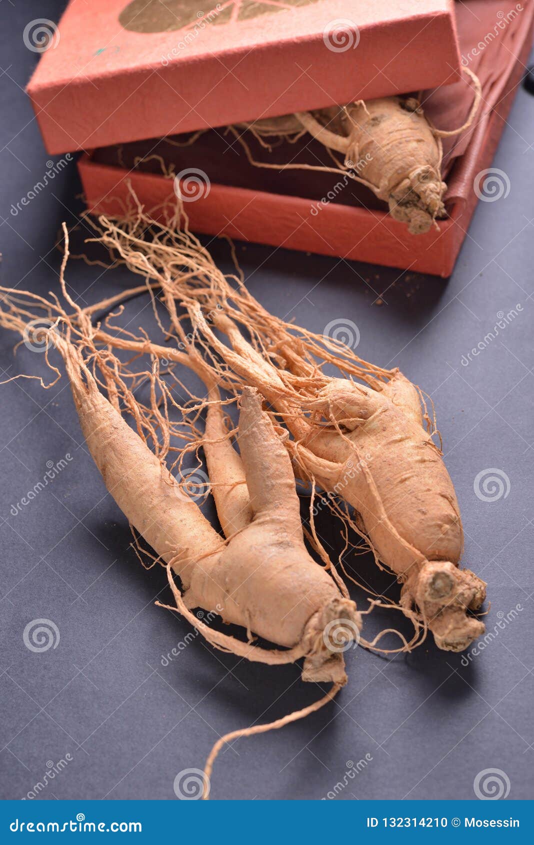 Ginseng roots in gift box stock photo. Image of plant - 132314210