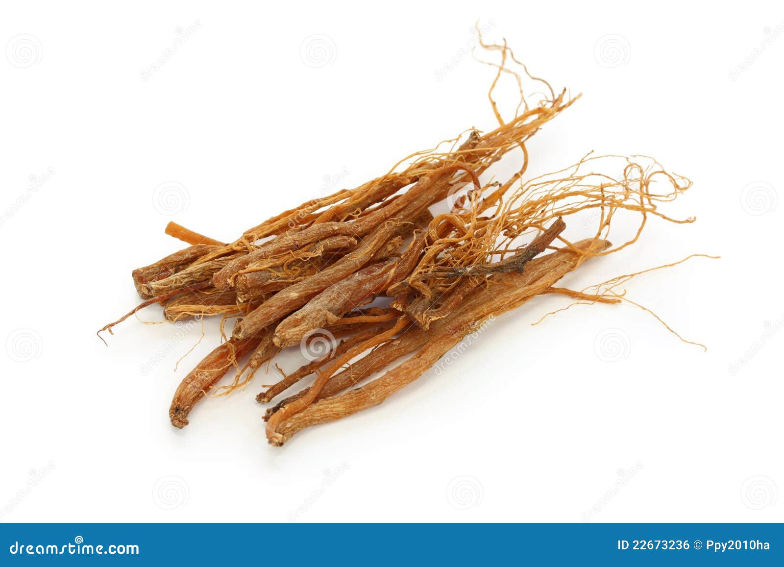 Ginseng Roots, Panax Ginseng, Traditional Chinese Stock Photo - Image ...