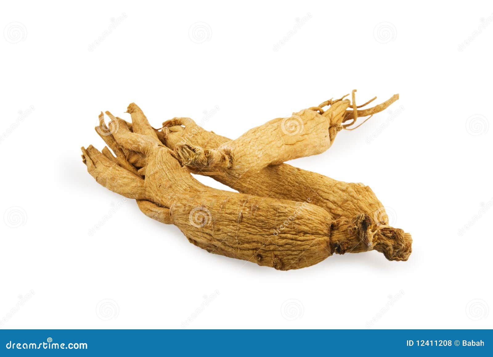 Ginseng Roots on White Background Stock Photo - Image of root, herbal ...