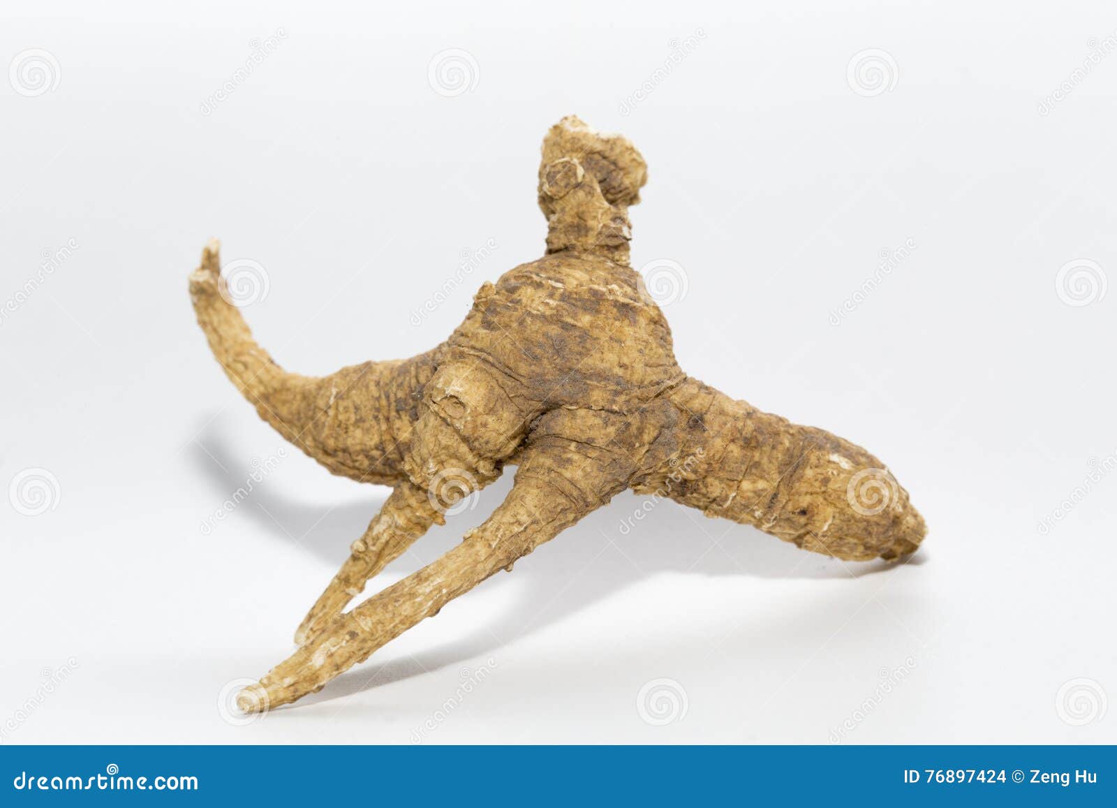 Ginseng roots on white stock photo. Image of healthcare - 76897424