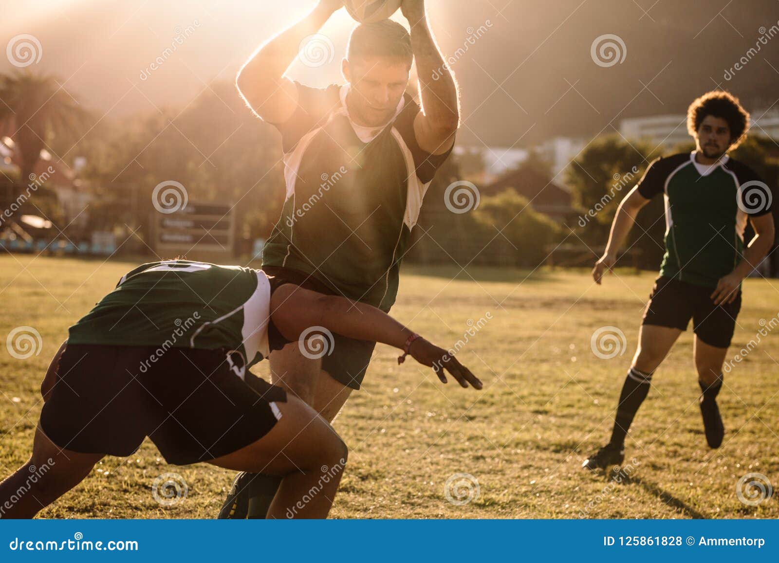 Giocatori Di Rugby Che Combattono Per La Palla Fotografia Stock ...