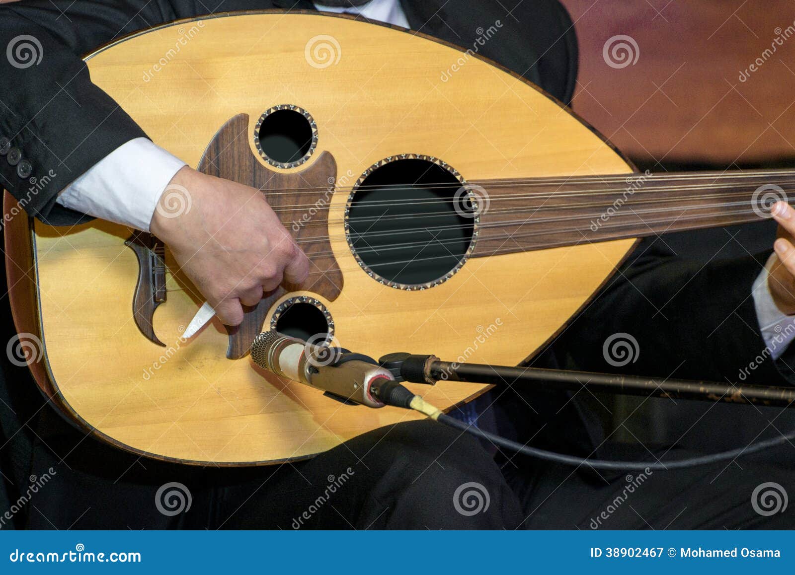 Gioco del liuto immagine stock. Immagine di coltura, prestazioni - 38902467