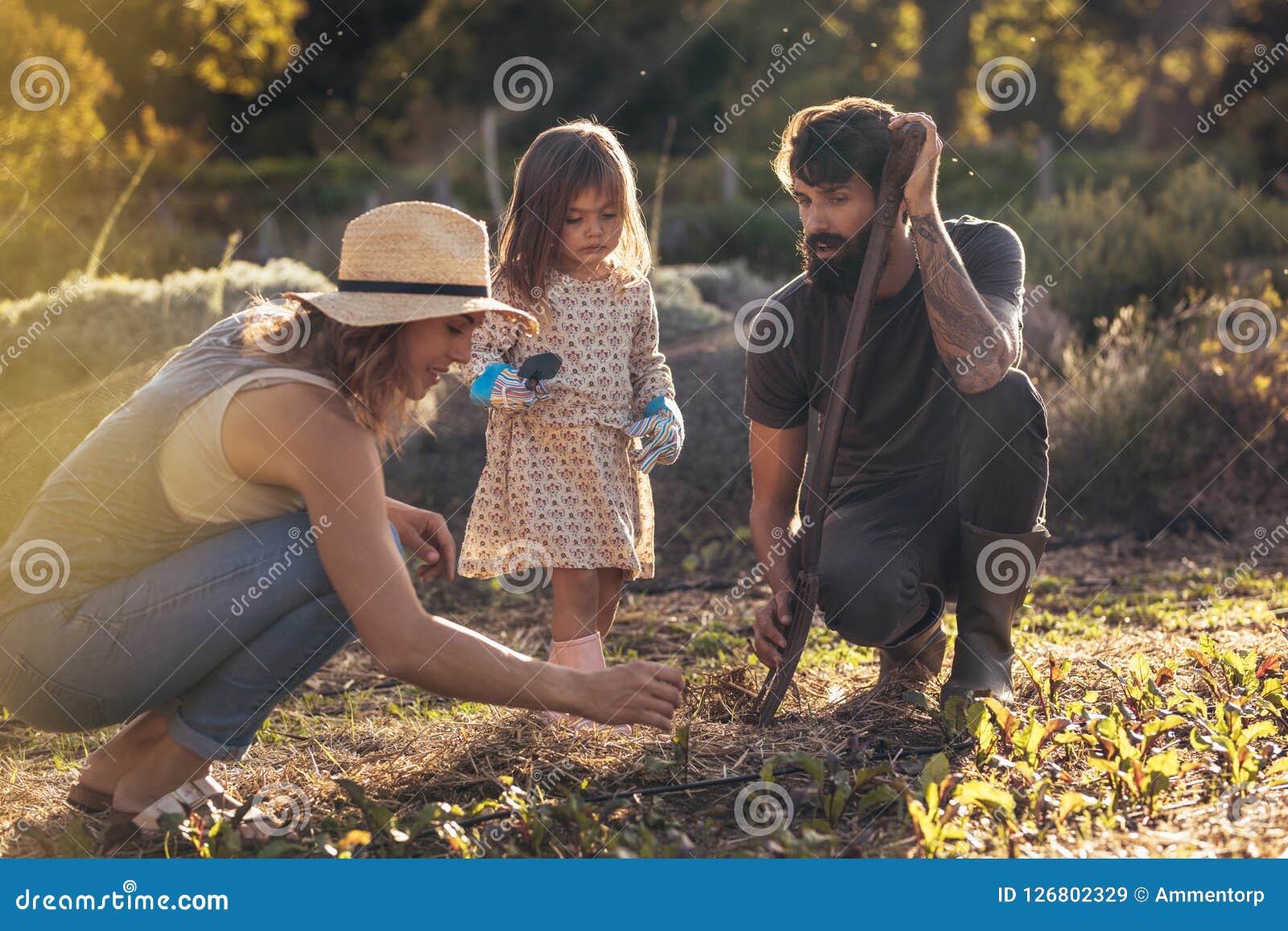 Giovane Famiglia Che Lavora Insieme Nella Loro Azienda Agricola ... Giovane Famiglia Che Lavora Insieme Nella Loro Azienda Agricola ...