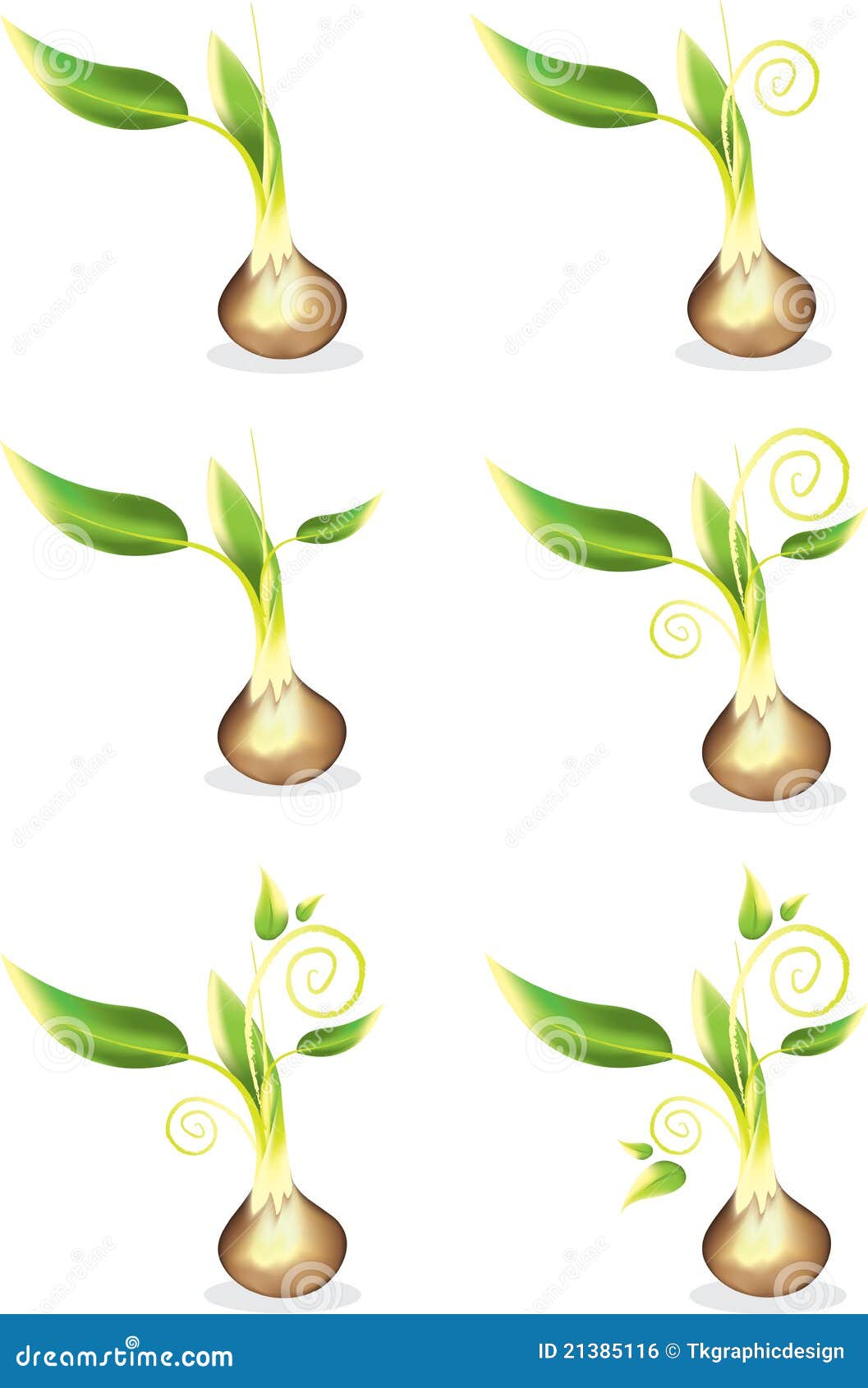 Giovane germoglio del seme illustrazione vettoriale. Illustrazione di ...