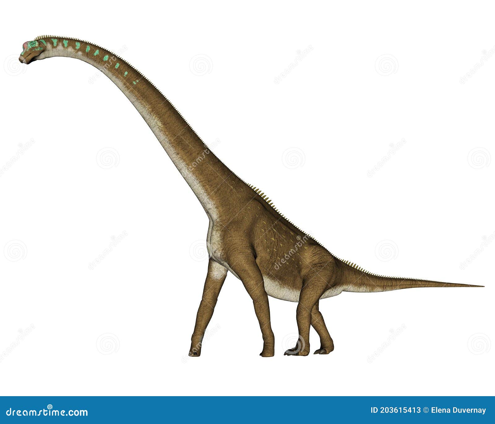 Giraffatitan Dinosaur - 3D Render Stock Illustration - Illustration of ...