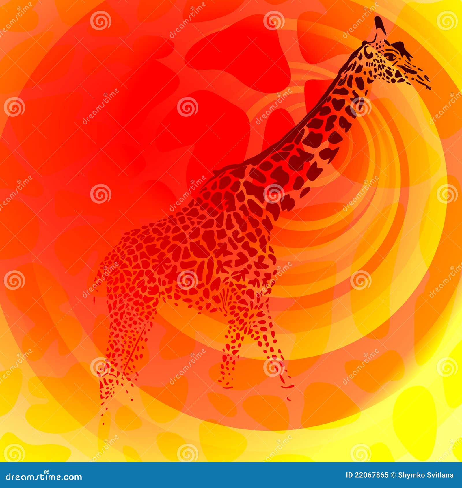 Giraffe stock vector. Illustration of background, orange - 22067865