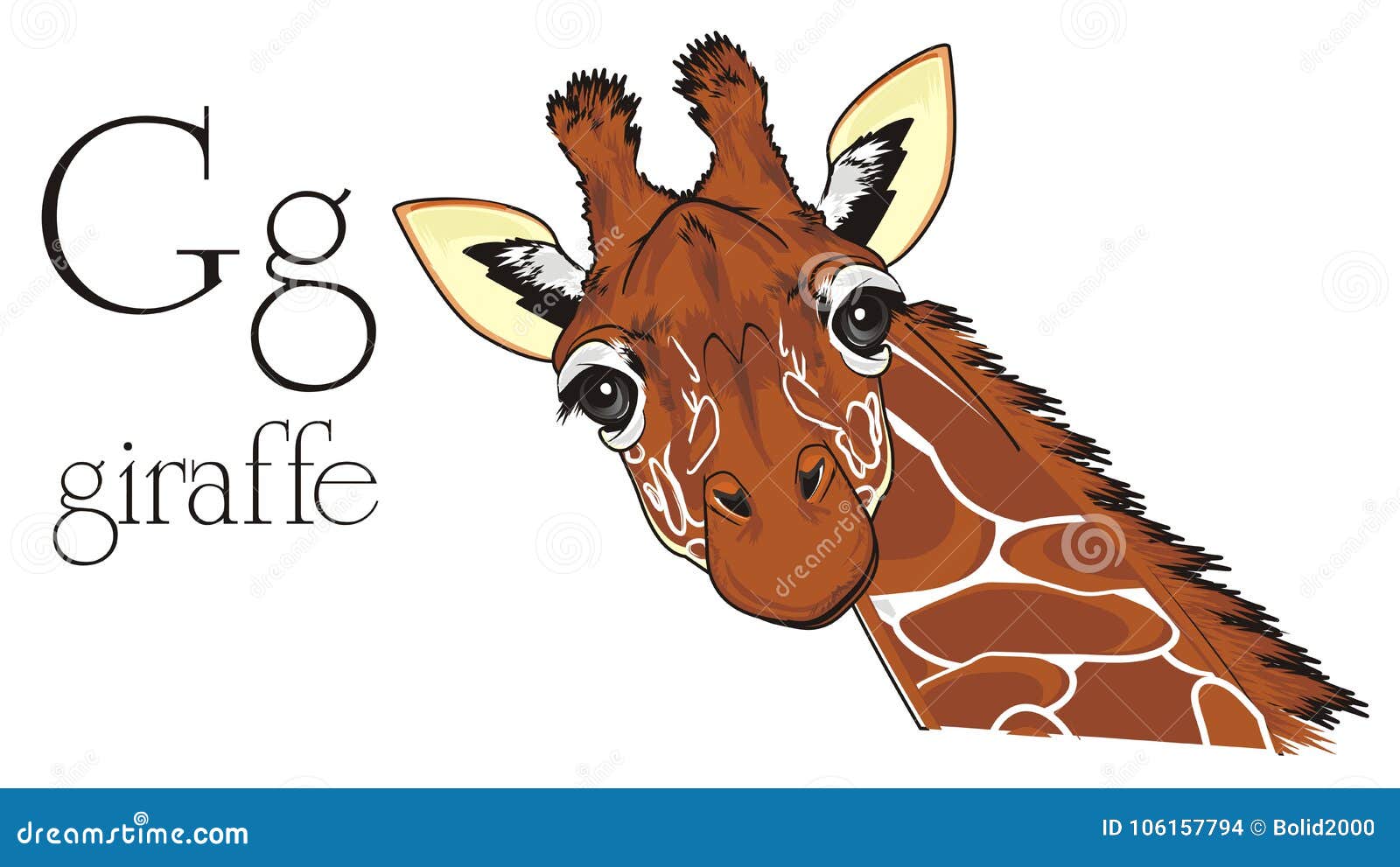 Giraffe Set Of Signs Cartoon Vector | CartoonDealer.com #25106781