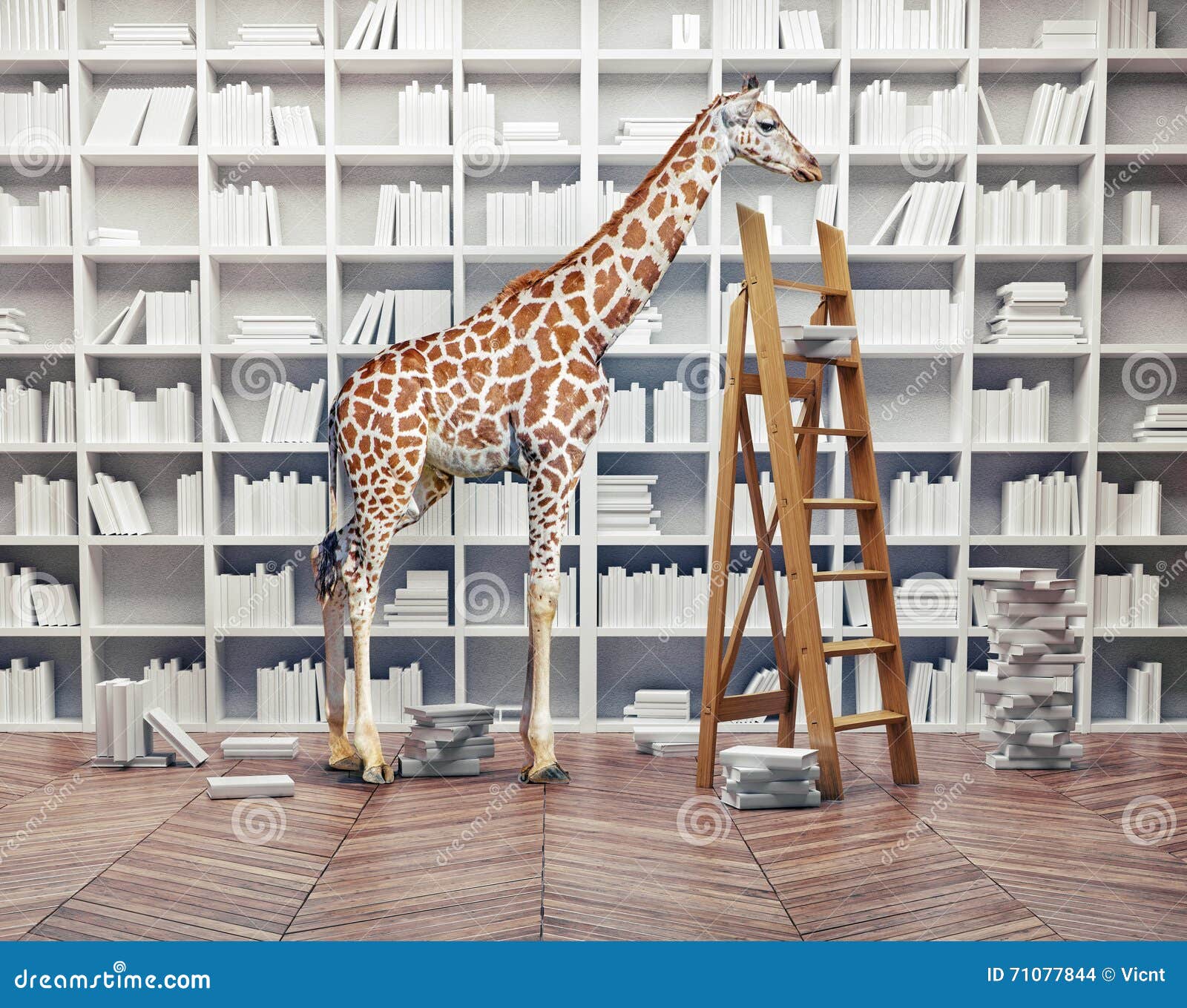 Giraffe Baby in the Library Stock Illustration - Illustration of indoor ...