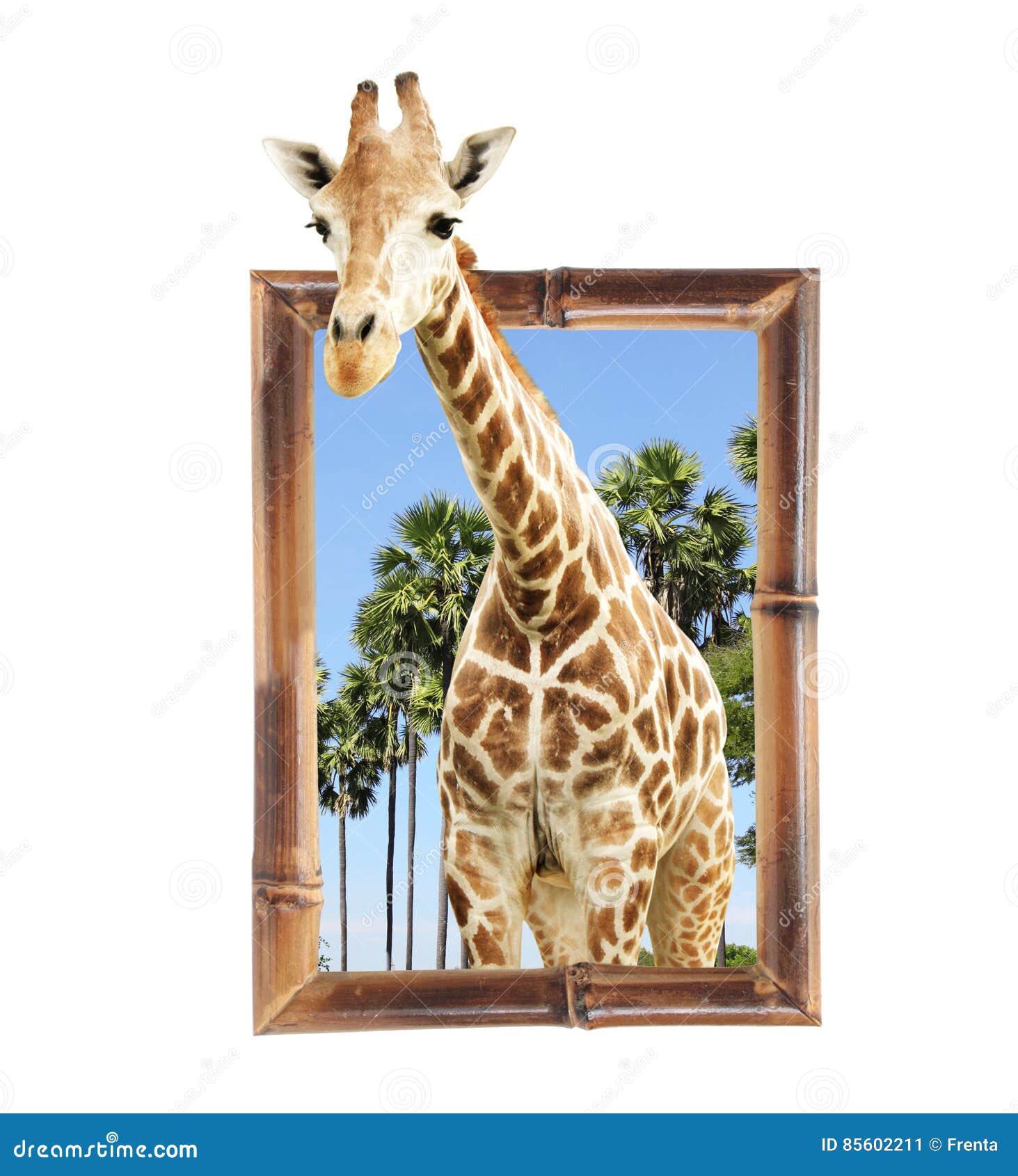 Giraffe in Bamboo Frame with 3d Effect Stock Image - Image of tall ...