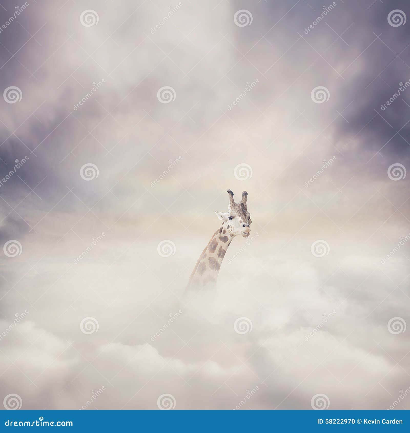 Giraffe and clouds stock photo. Image of concept, animal - 58222970