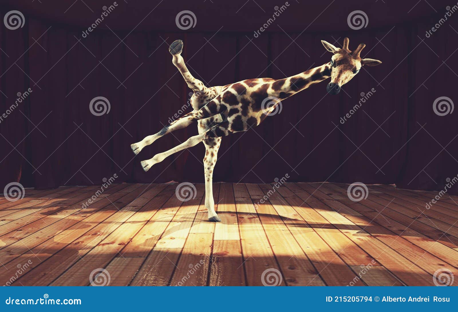 Giraffe dancing on stage stock illustration. Illustration of animals ...