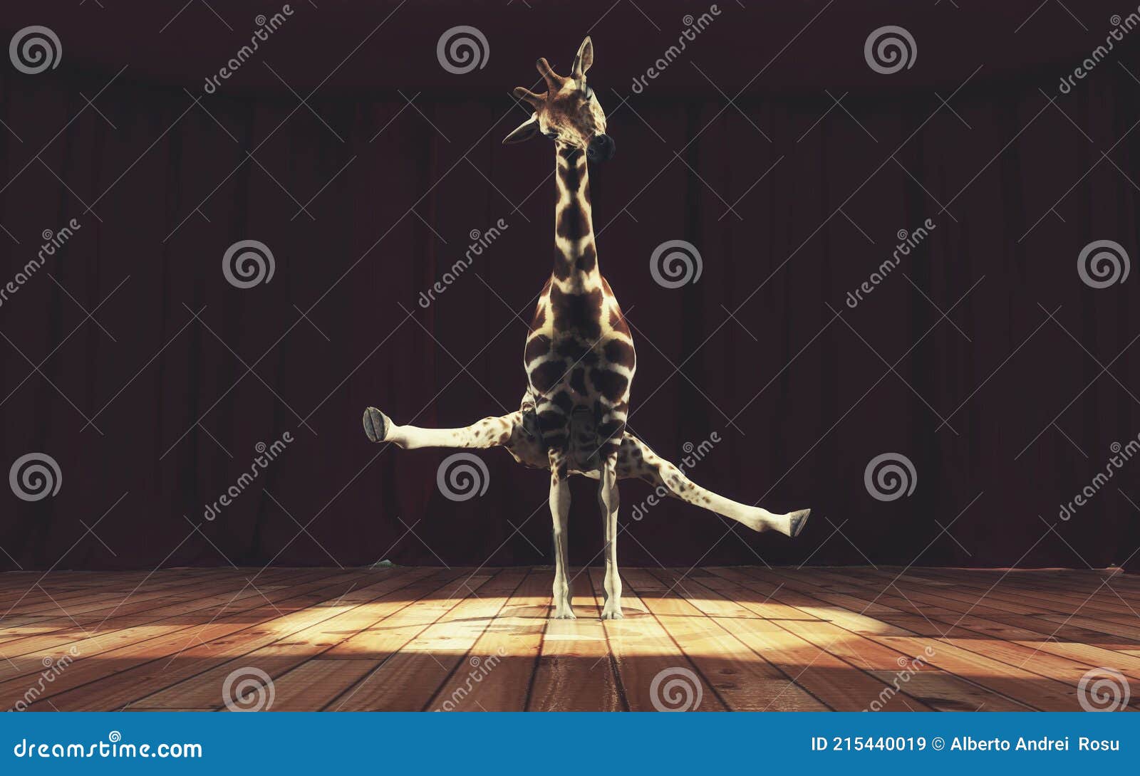 Dance. Giraffe Dancing on Stage Stock Illustration - Illustration of ...