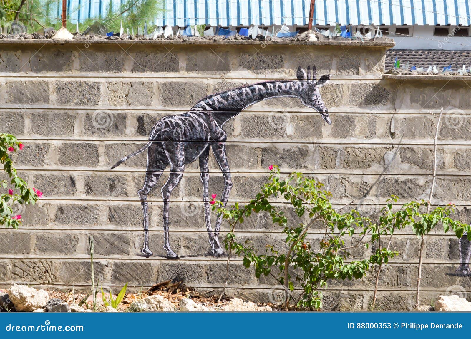 Giraffe Draw on a Wall of Raw Blocks Editorial Stock Photo - Image of ...