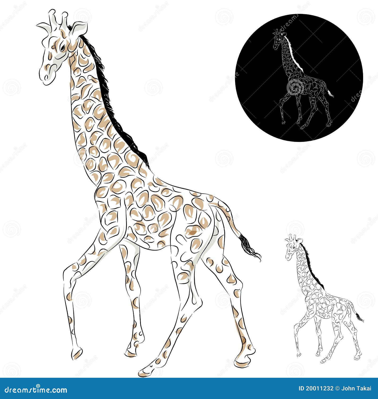Giraffe Drawing stock vector. Illustration of spots, africa - 20011232