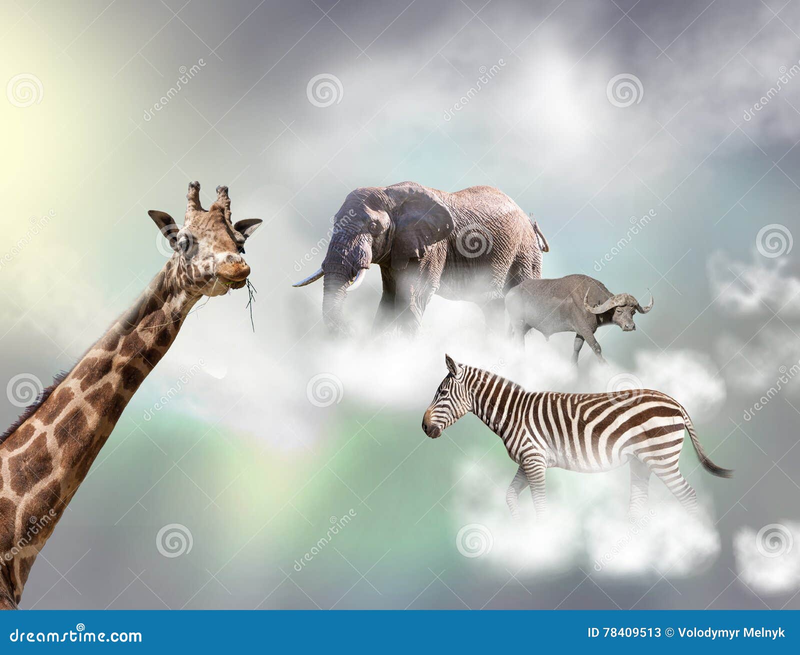 Elephant And Zebra In Zoo Safari Park,Villahermosa,Tabasco,Mexico ...