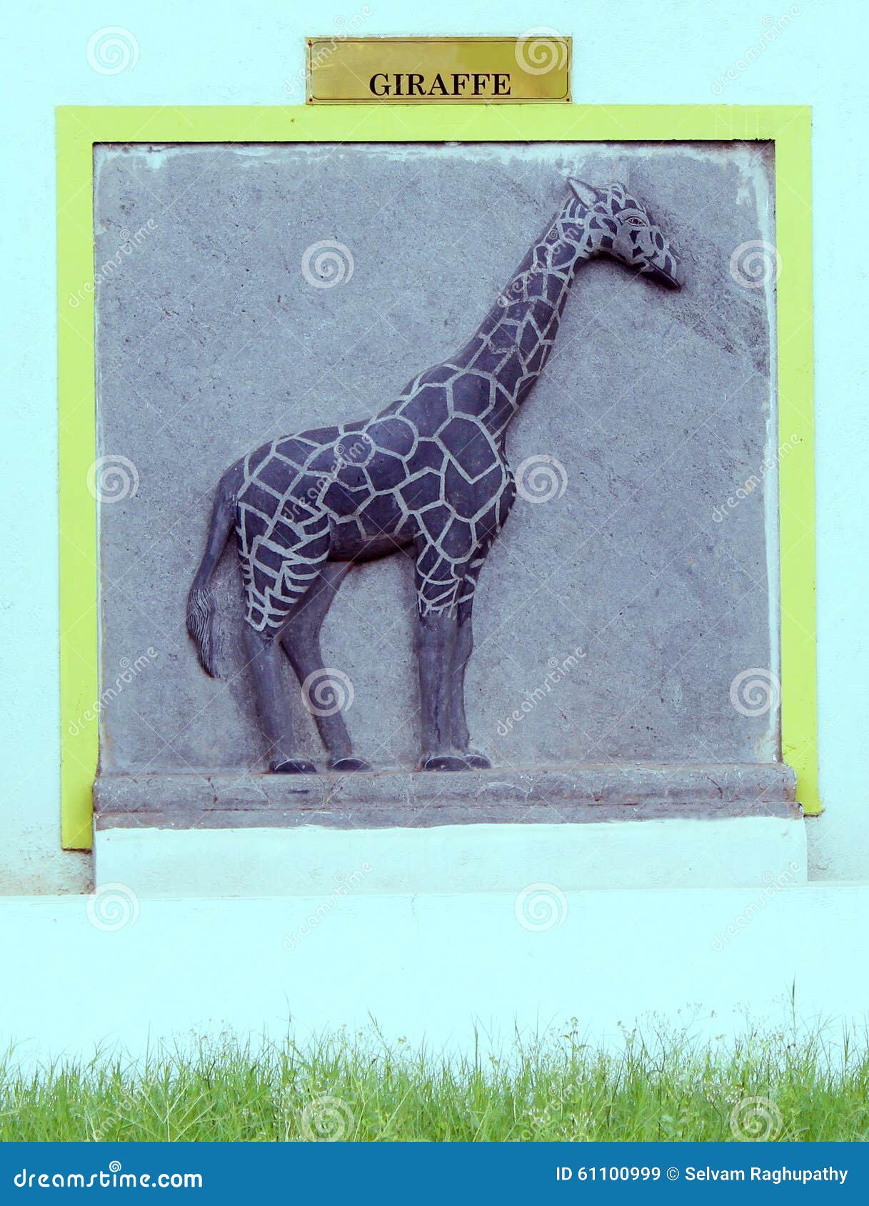 Giraffe engraving stock image. Image of pattern, outside - 61100999