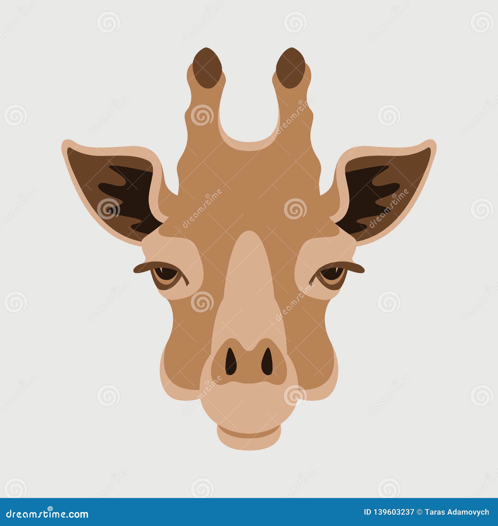 Giraffe Face, Vector Illustration , Front View, Stock Vector ...