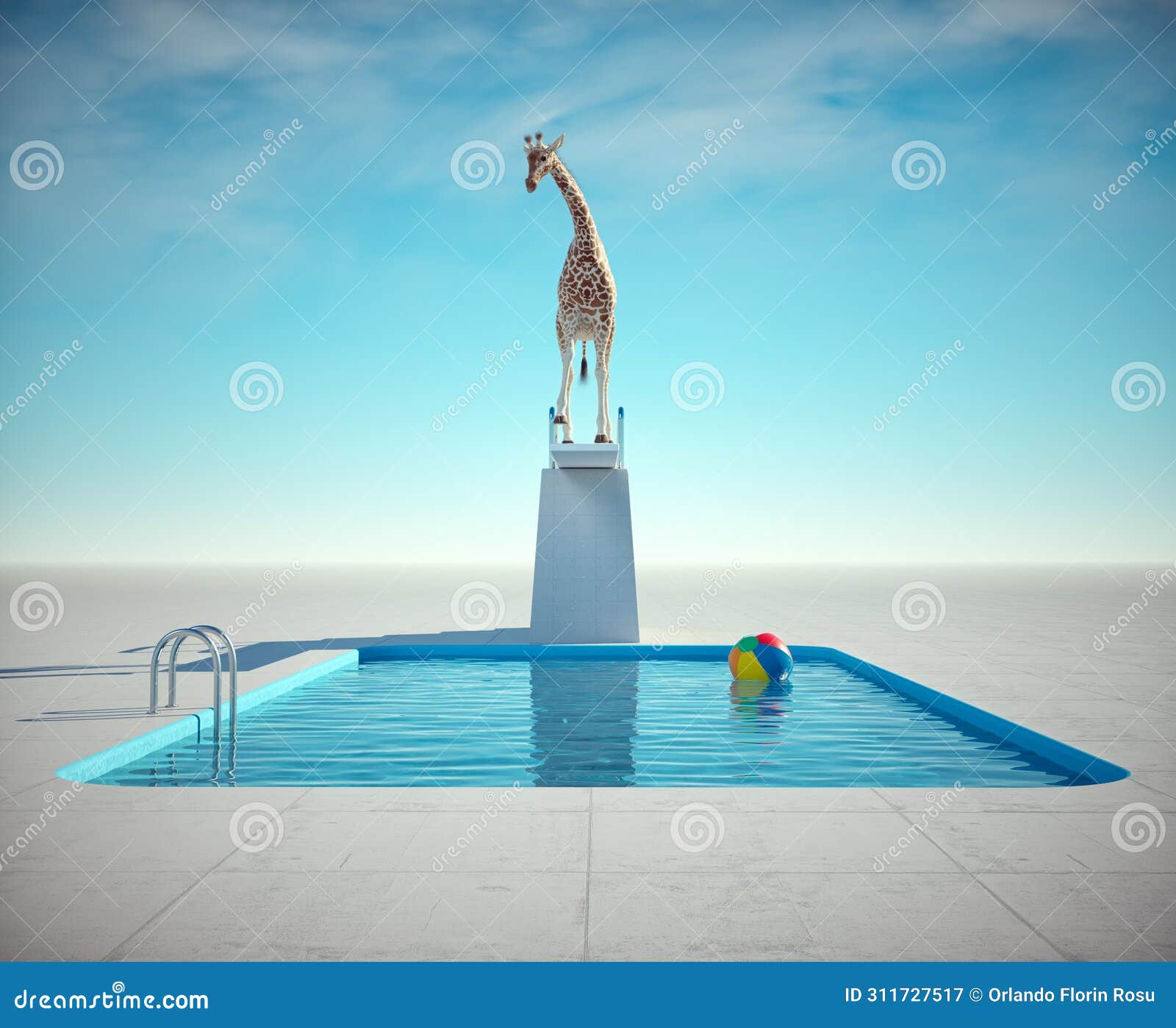 Giraffe Getting Ready To Jump into the Pool Stock Illustration ...