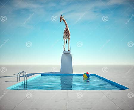 Giraffe Getting Ready To Jump into the Pool Stock Illustration ...