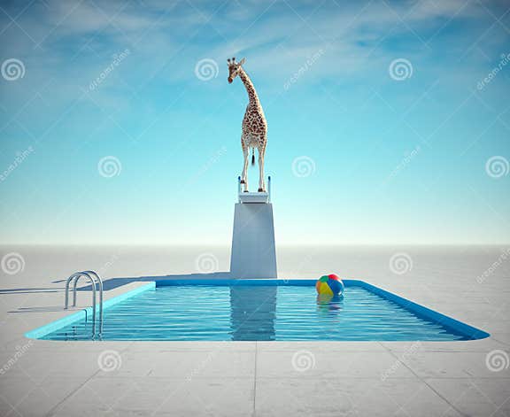 Giraffe Getting Ready To Jump into the Pool Stock Illustration ...