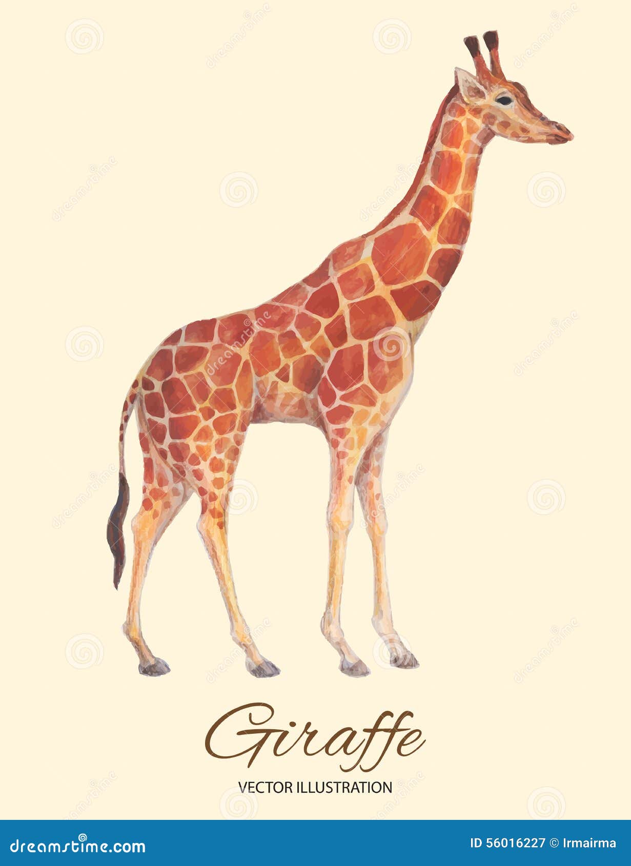 Giraffe Color Pencil Drawing