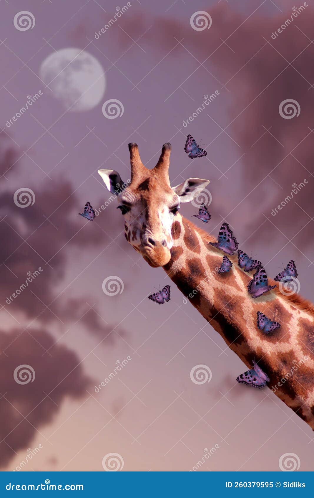 Giraffe Head with Butterflies Stock Image - Image of manipulation, head ...