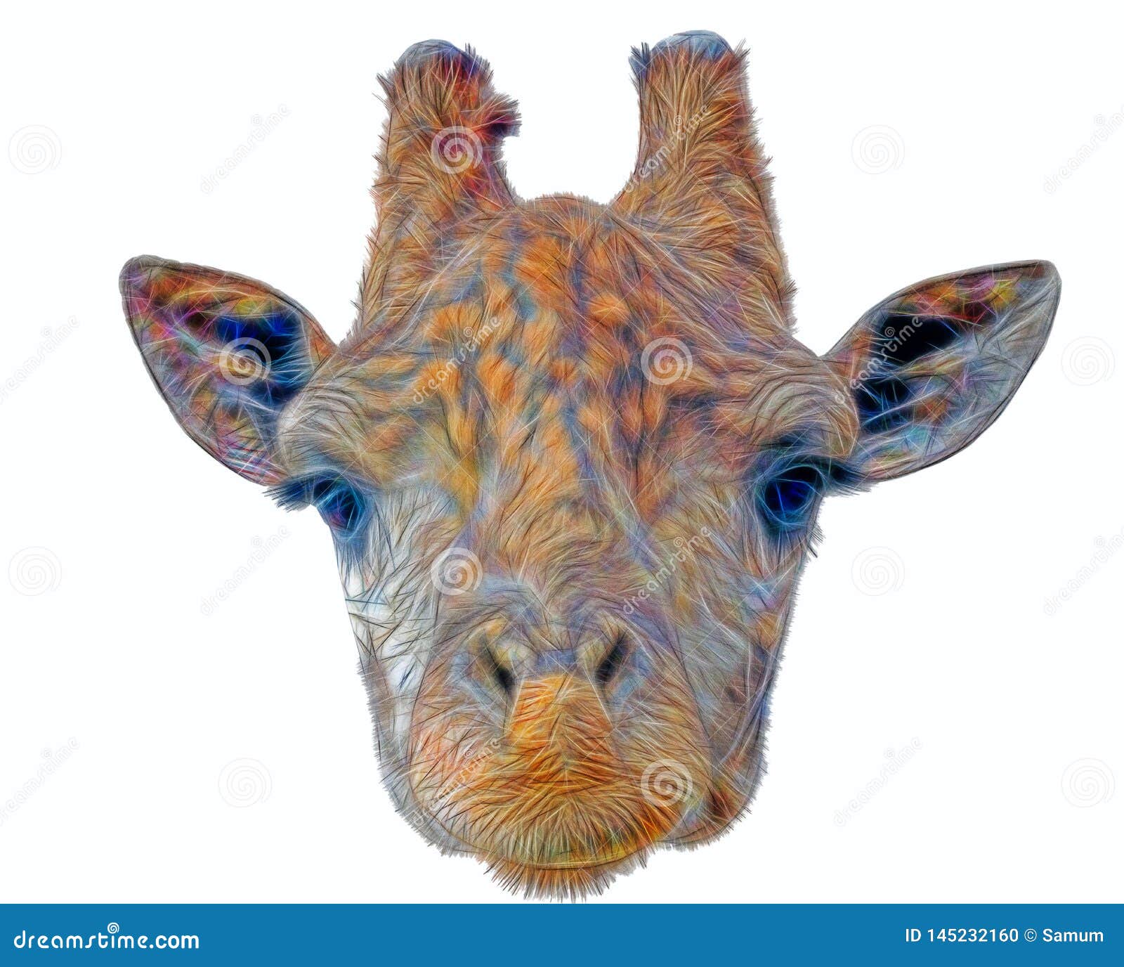 Giraffe head face stock illustration. Illustration of wildlife - 145232160