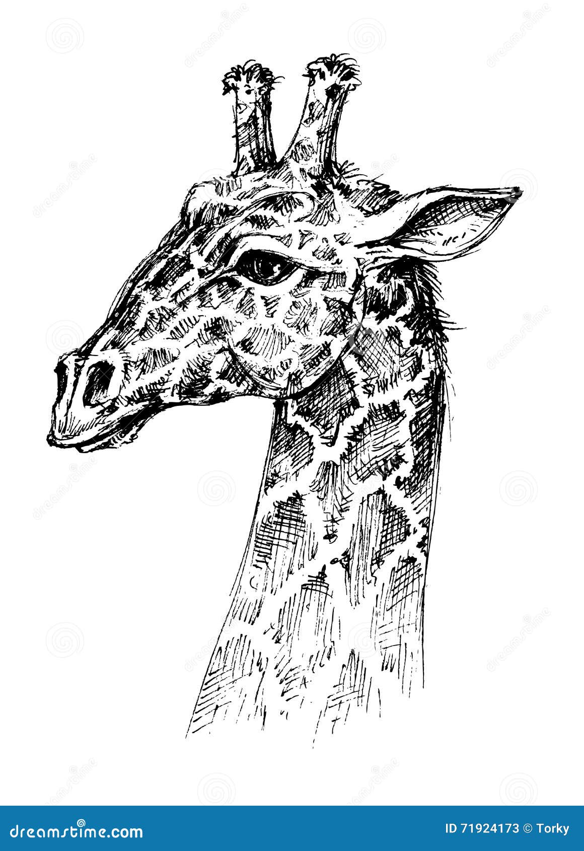 Giraffe Head Geometric Vector Illustration | CartoonDealer.com #78577776