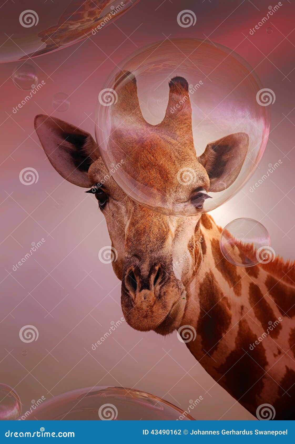 Giraffe Looking at Soap Bubbles - Artwork Stock Illustration ...