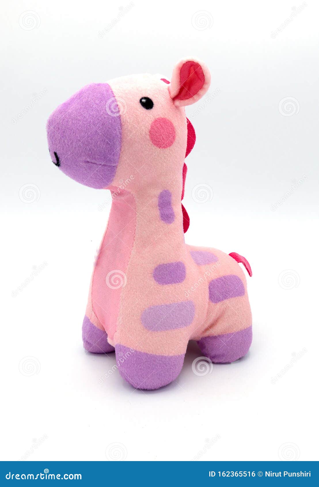 Giraffe Plushie Doll Isolated On White Background With Shadow ...