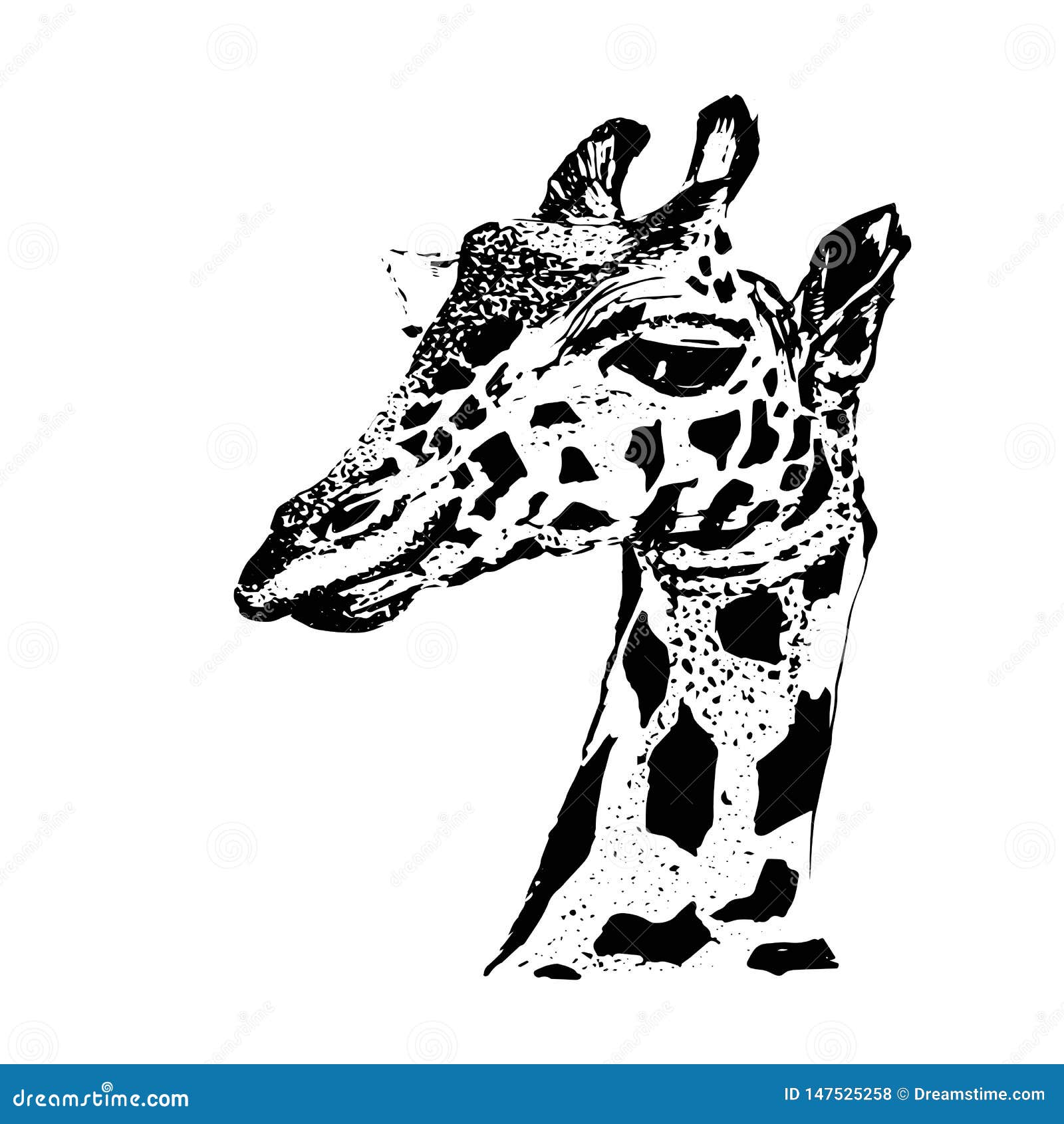 Giraffe portrait drawing stock illustration. Illustration of head ...