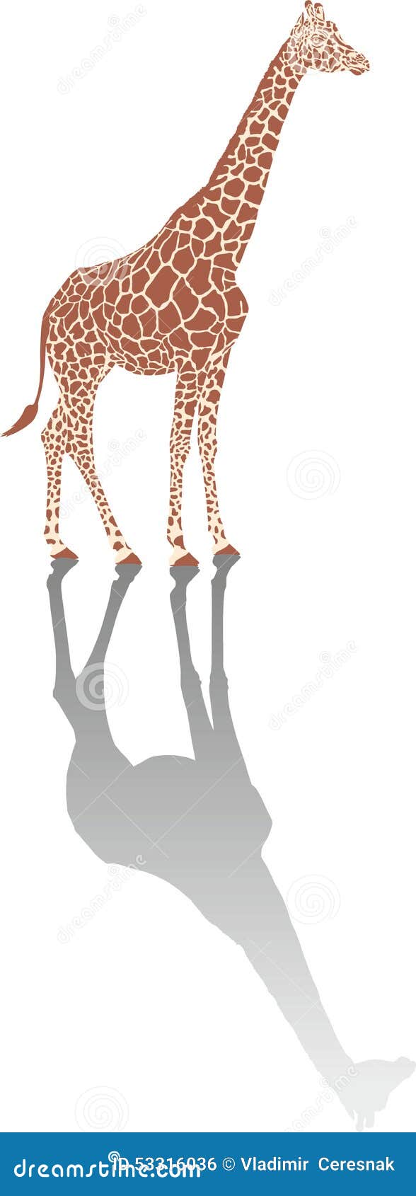 Giraffe with shadow stock vector. Illustration of pattern - 53316036