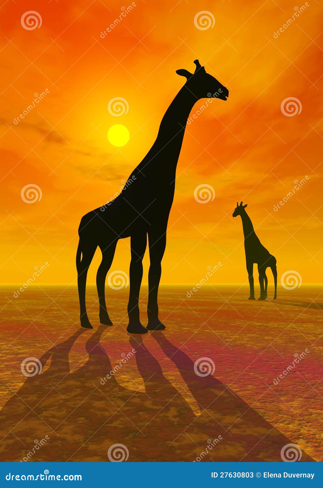 Giraffe shadows stock illustration. Illustration of high - 27630803