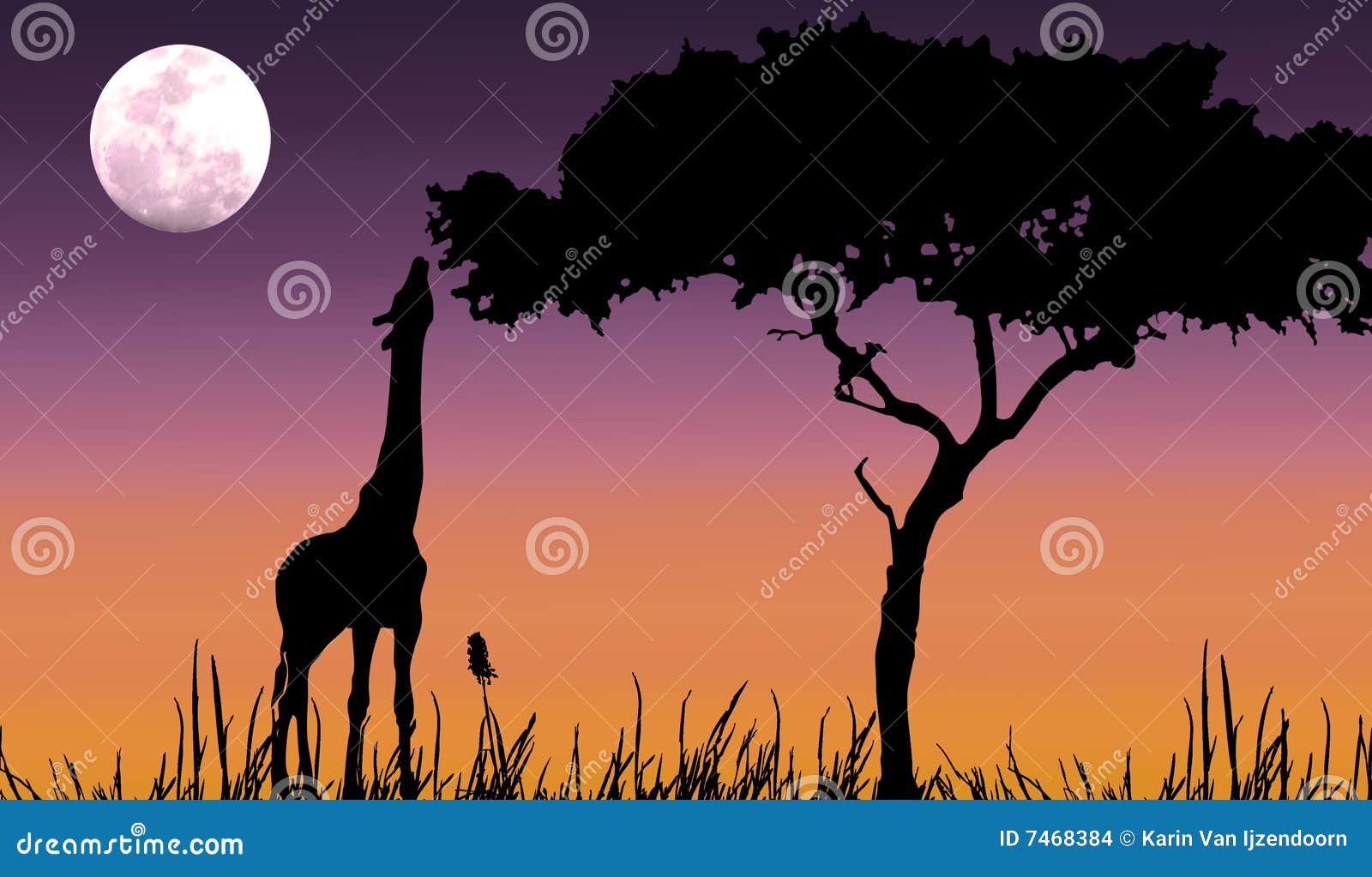 Giraffe Silhouette in Purple Sunset Stock Illustration - Illustration ...