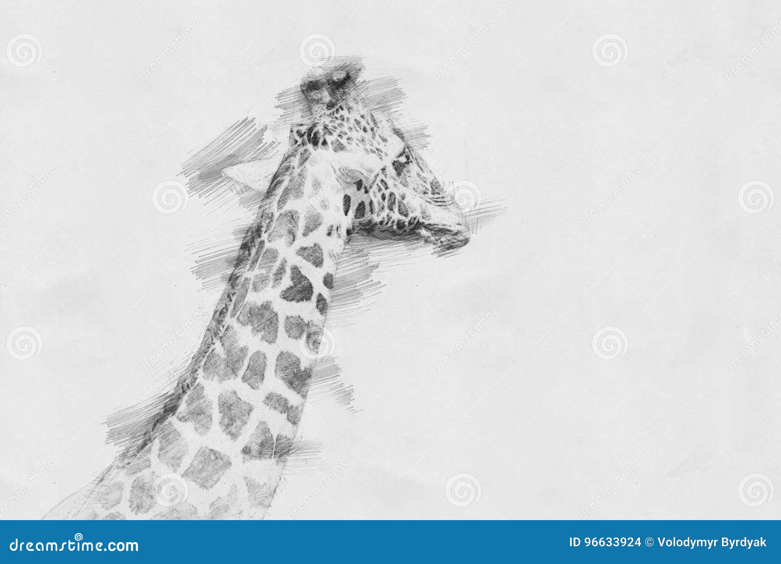 Giraffe Pencil Drawing With Paper Texture Royalty-Free Stock ...