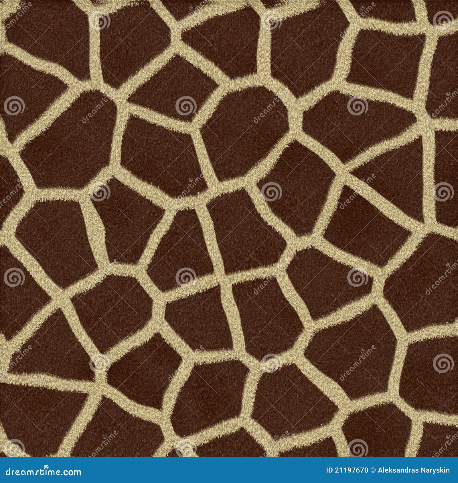 Giraffe Skin Texture Stock Photo | CartoonDealer.com #21197670