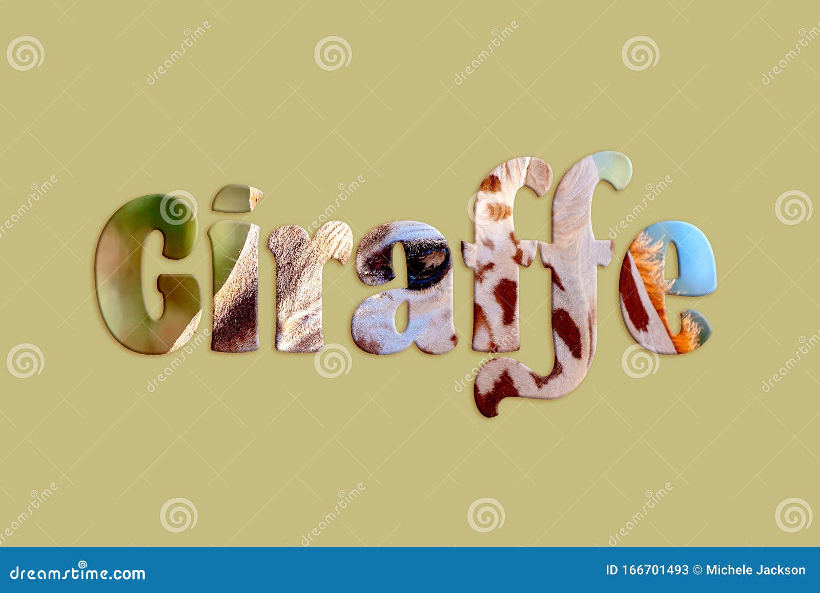 Giraffe Text from Giraffe Image Stock Image - Image of like, africa ...