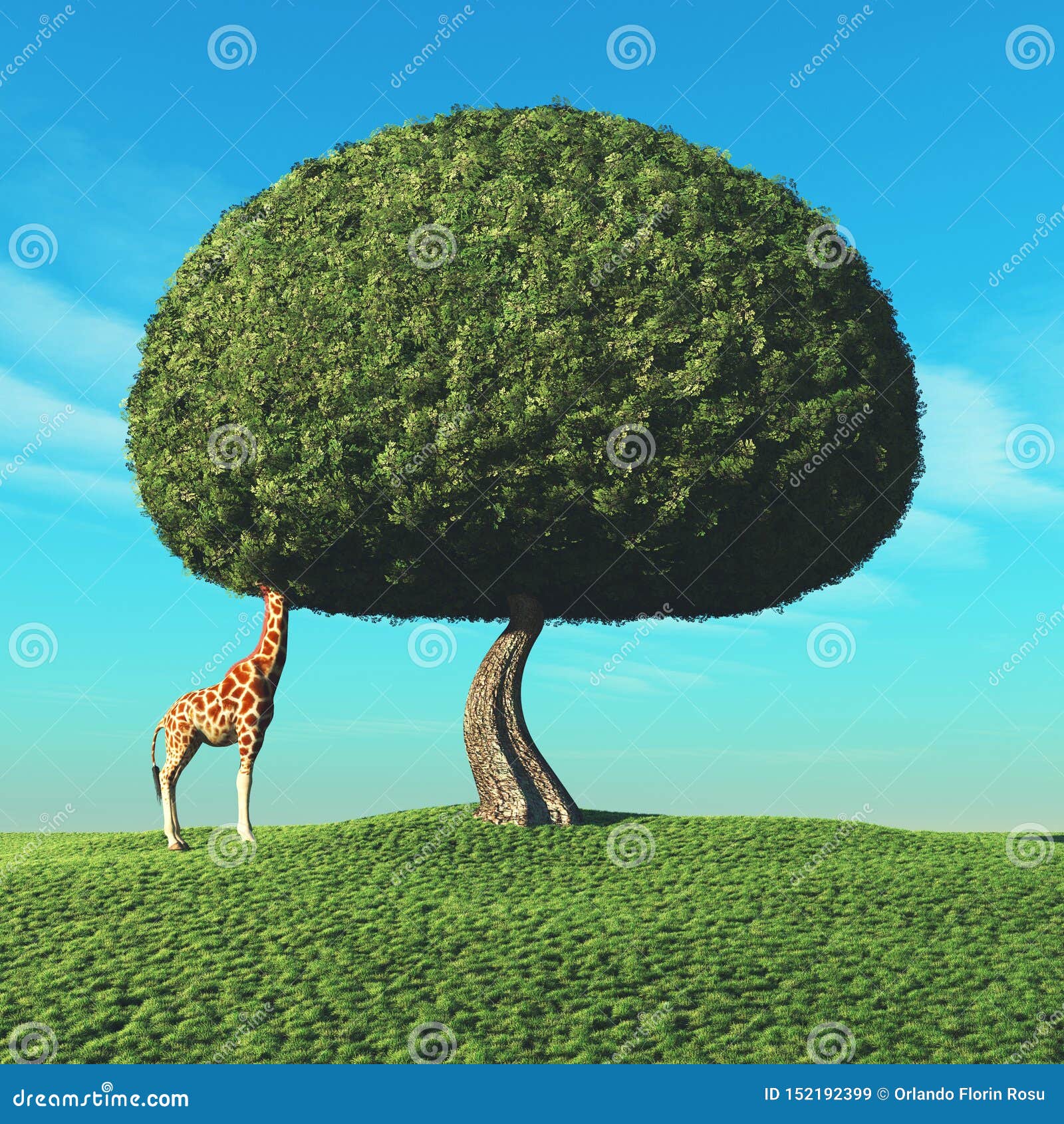 Giraffe and the tree stock illustration. Illustration of tall - 152192399