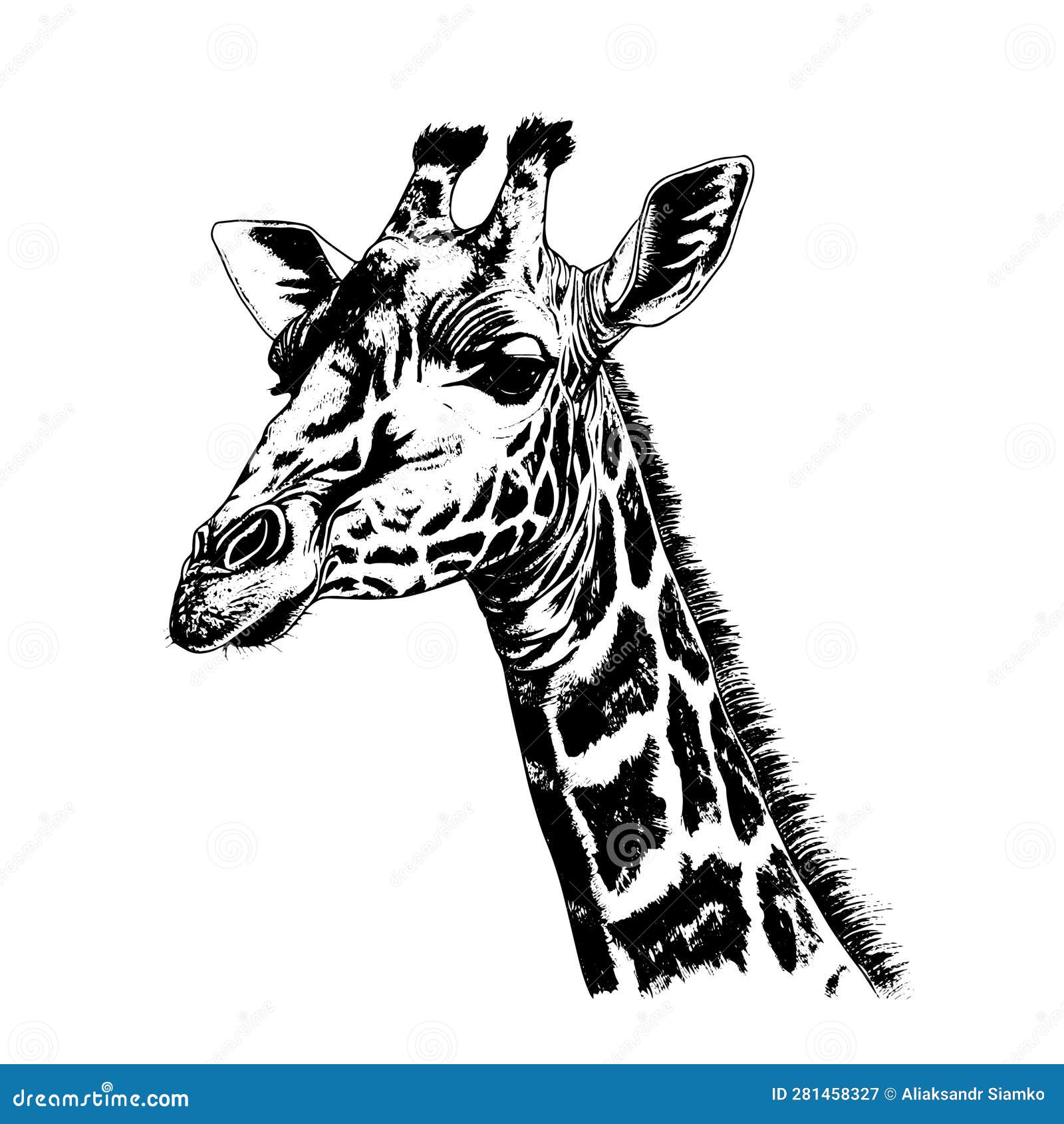 Giraffe Vector Drawing. Isolated Hand Drawn Object, Engraved Style ...