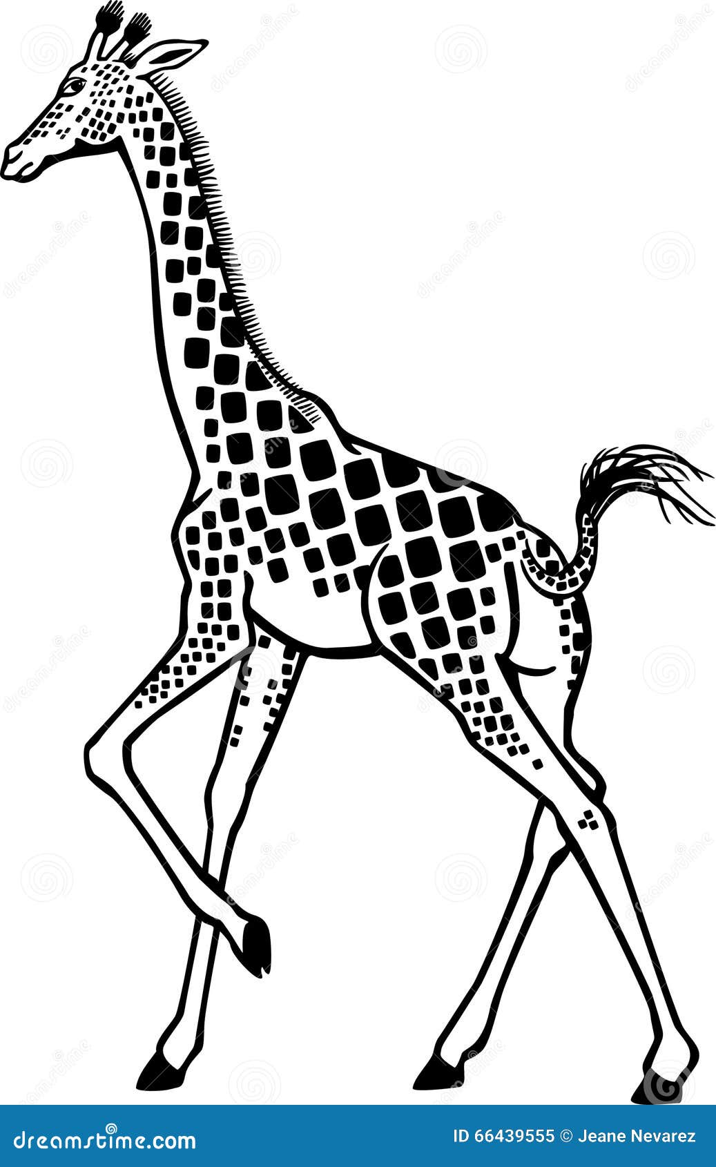Giraffe Walking stock vector. Illustration of giraffe - 66439555