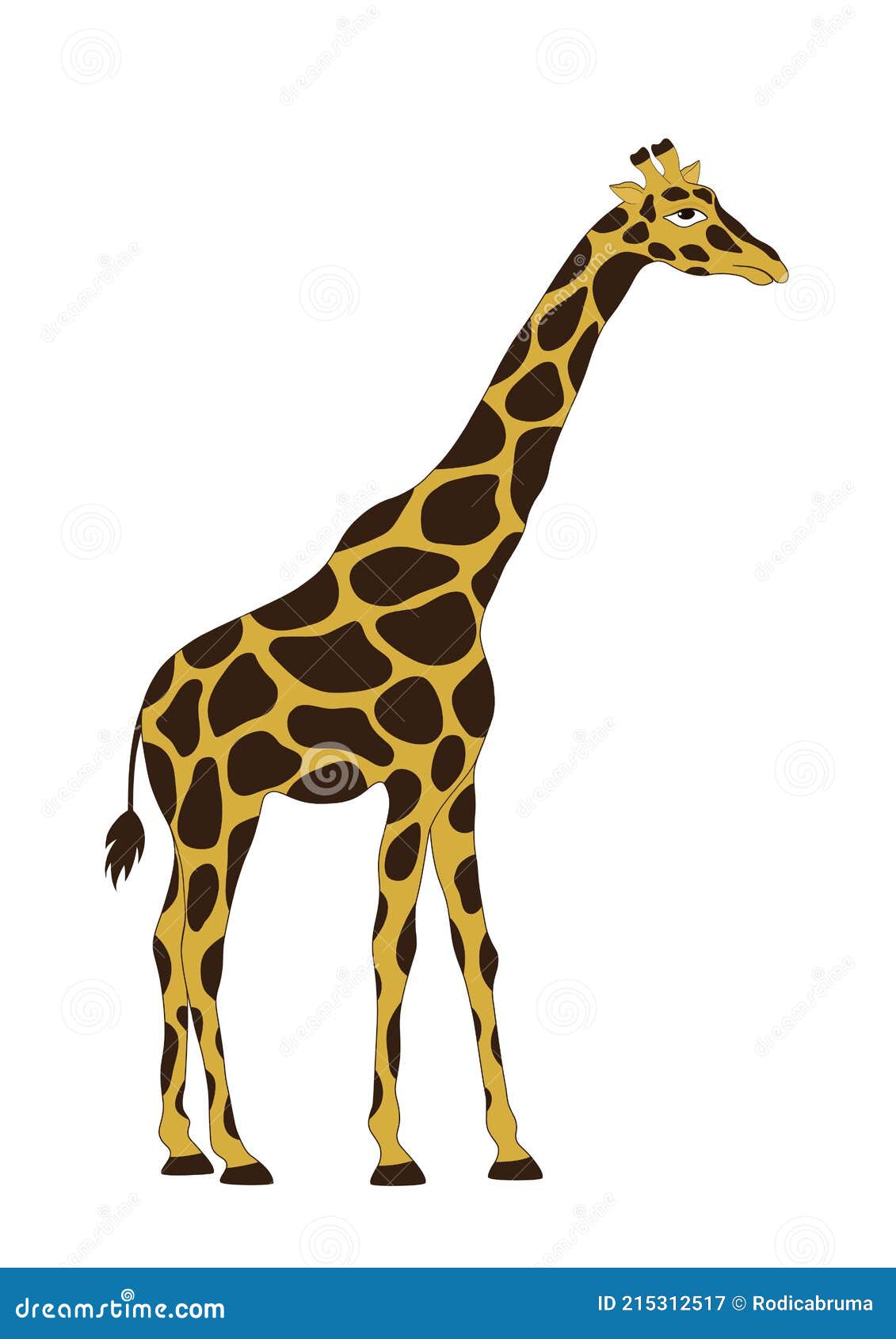 The Giraffe on White Background Stock Vector - Illustration of ...