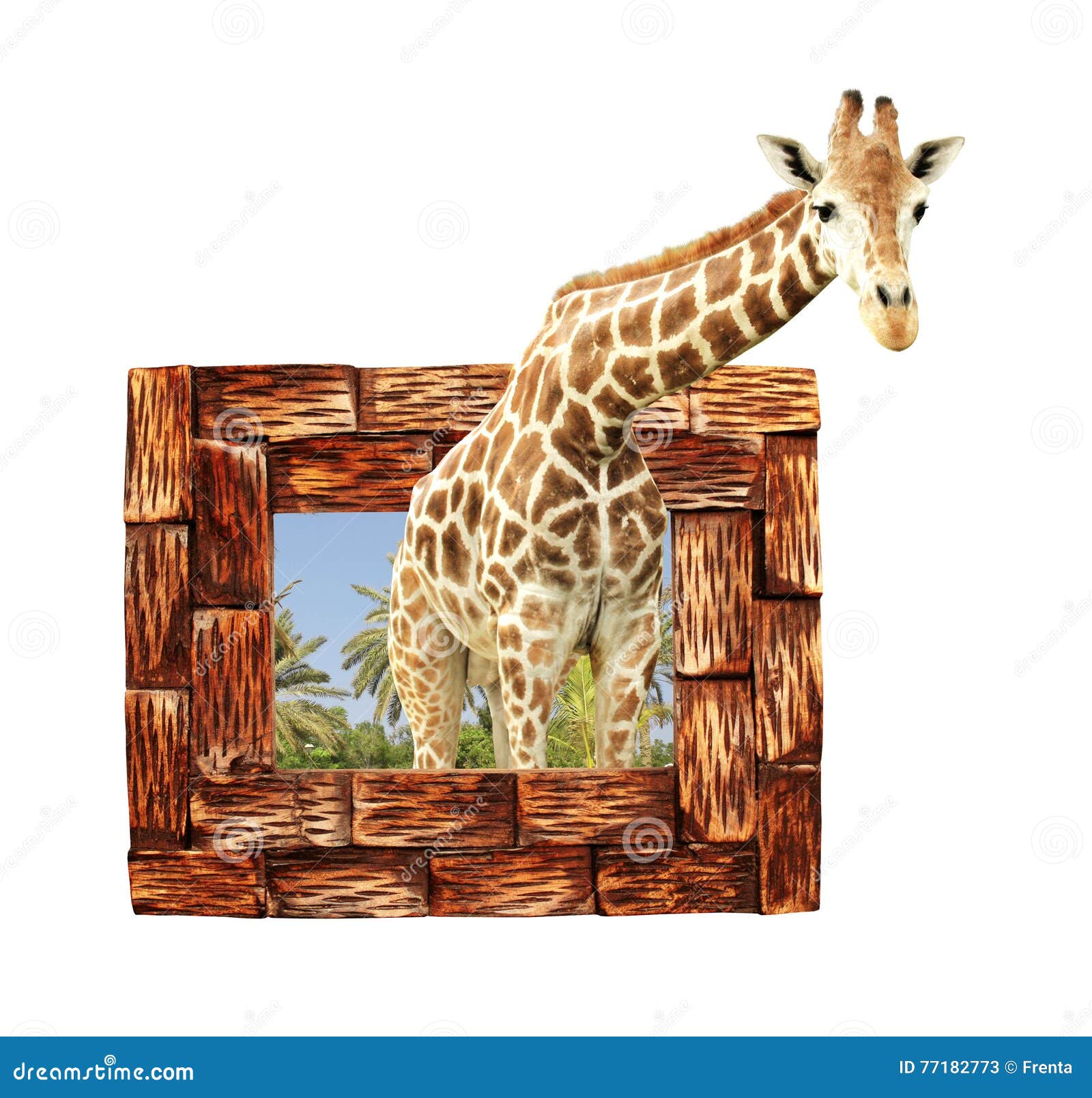 Giraffe in Wooden Frame with 3d Effect Stock Image - Image of broadcast ...