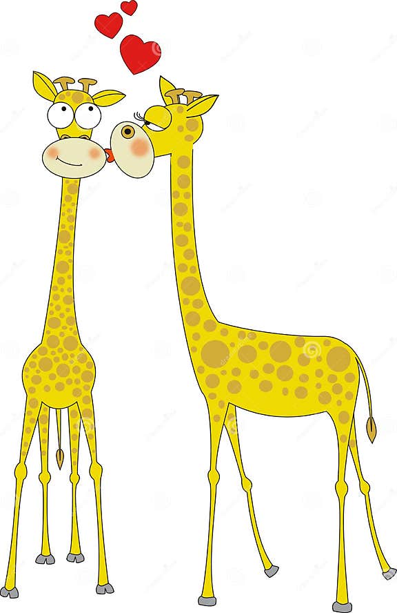 Giraffes in love stock vector. Illustration of partner - 9602349