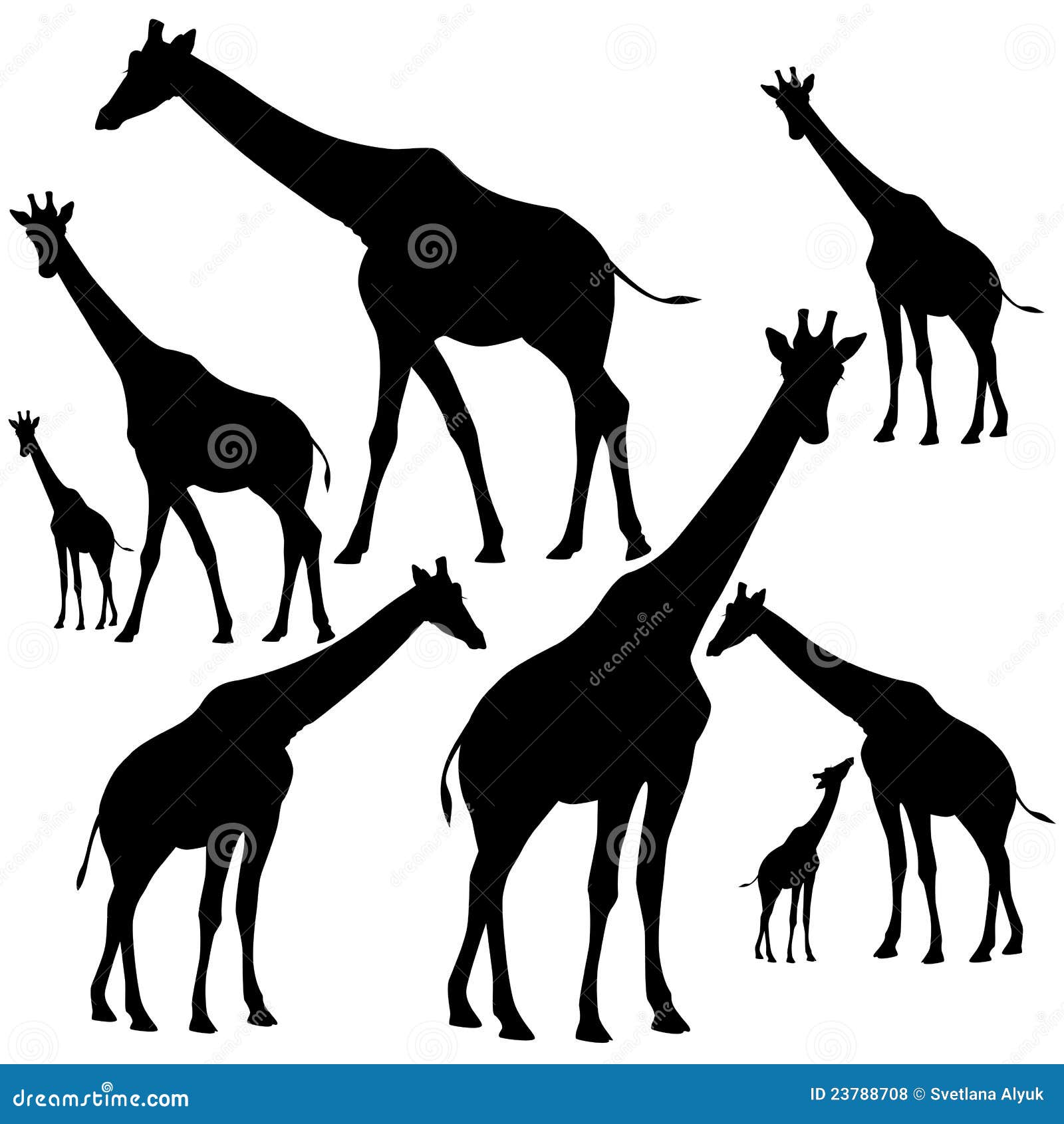 Girafe Walking While Closed Eyes Illustration | CartoonDealer.com ...