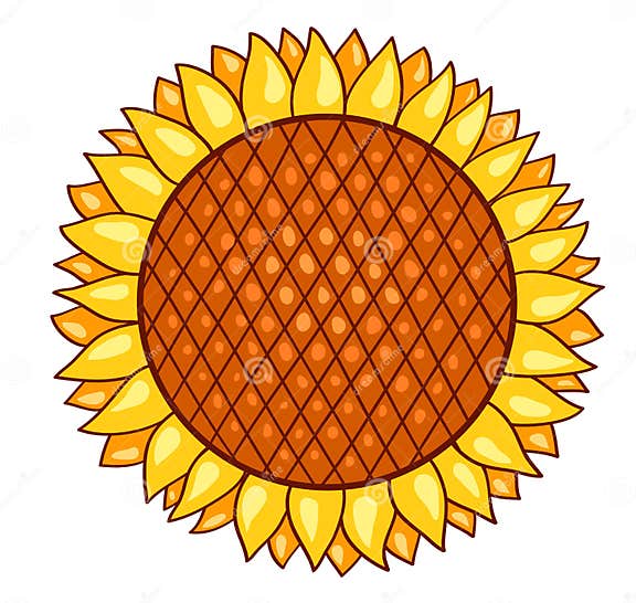 Girasol de la historieta ilustración del vector. Ilustración de ...