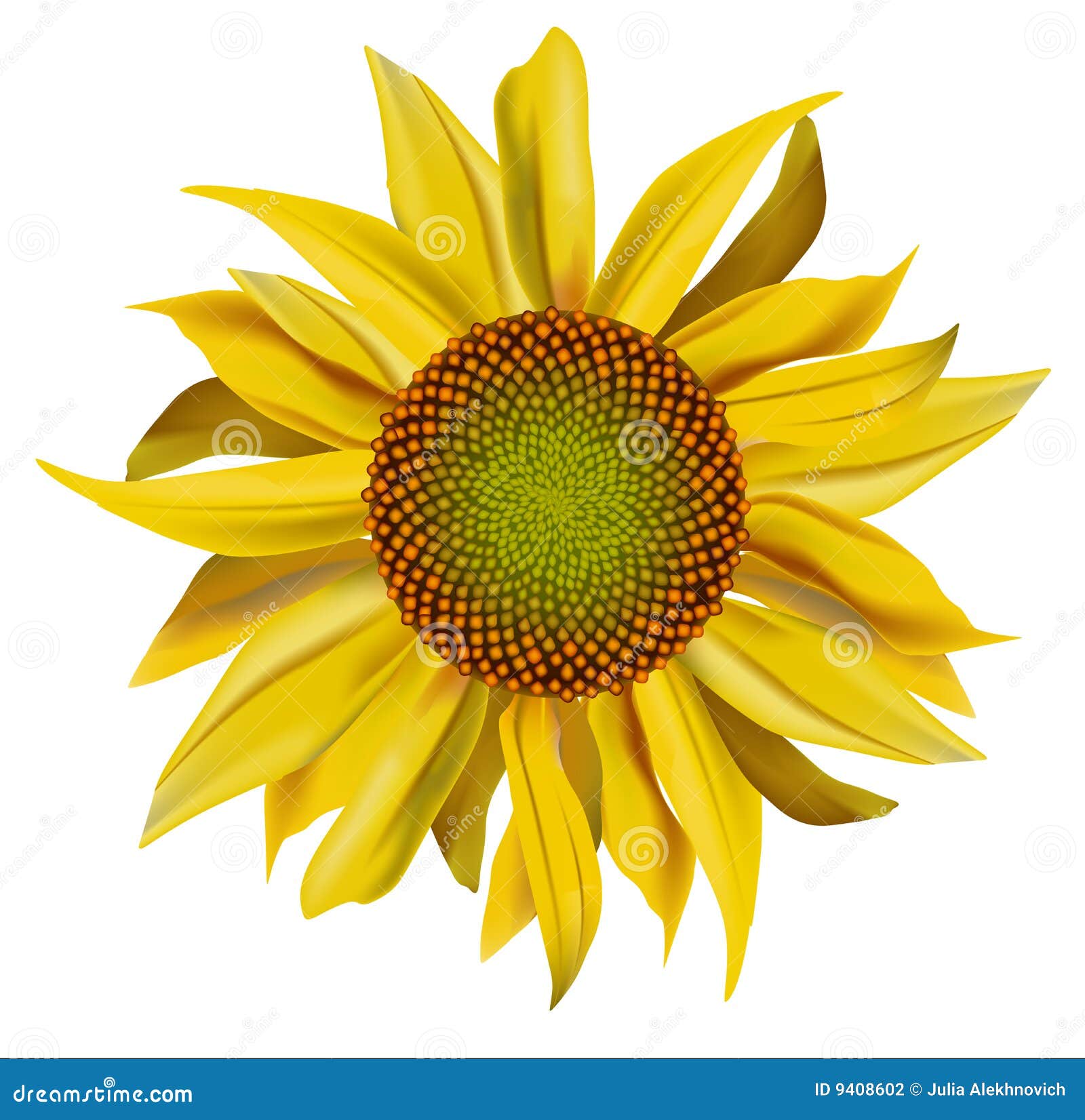 Girasol hermoso amarillo del vector