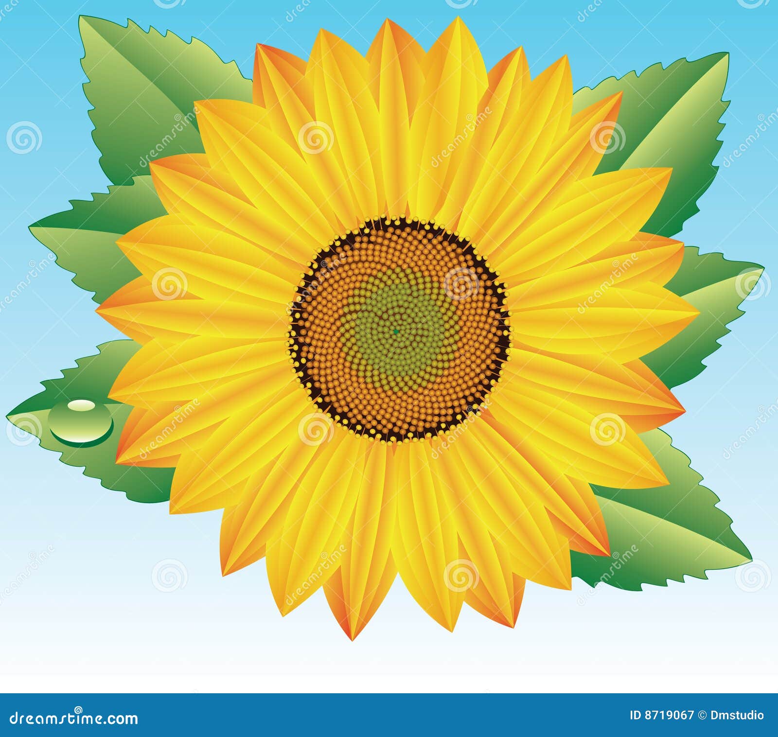 Girassol do vetor ilustração do vetor. Ilustração de agricultura - 8719067