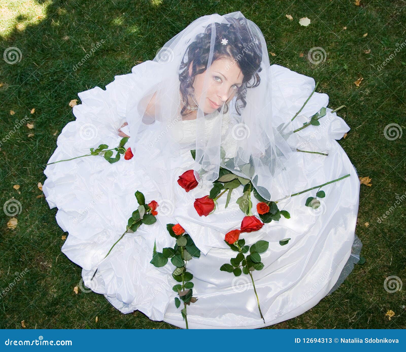 Girl stock image. Image of girl, groom, bright, brunette - 12694313